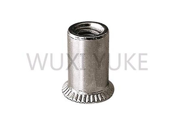 China 2020 Latest Design Flat Hex Rivet Nut Rivnut Insert Nutsert - CSK ...
