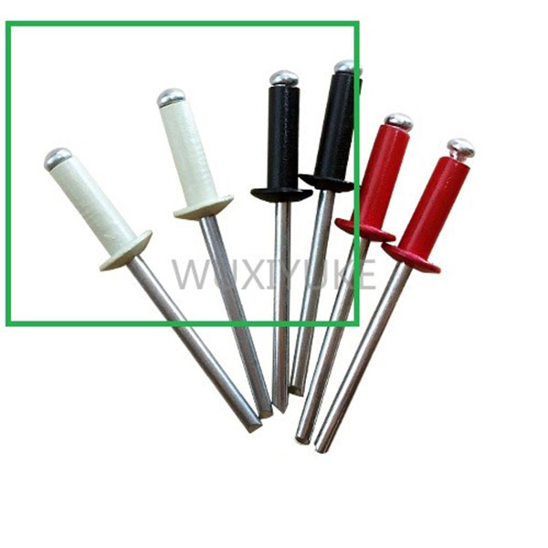 China Remaches blancos White Painted Blind rivet factory and ...