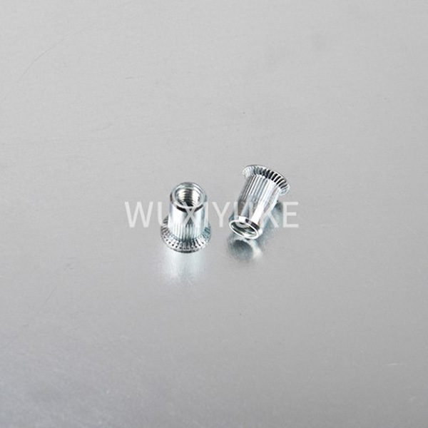 China Rivet Nut With Countersunk Head And Knurled Shank factory and ...