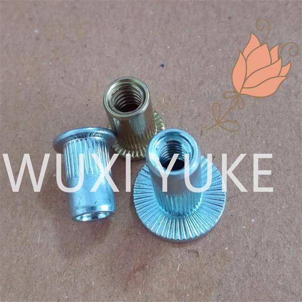 China Flat head riveting nut factory and manufacturers | Yuke